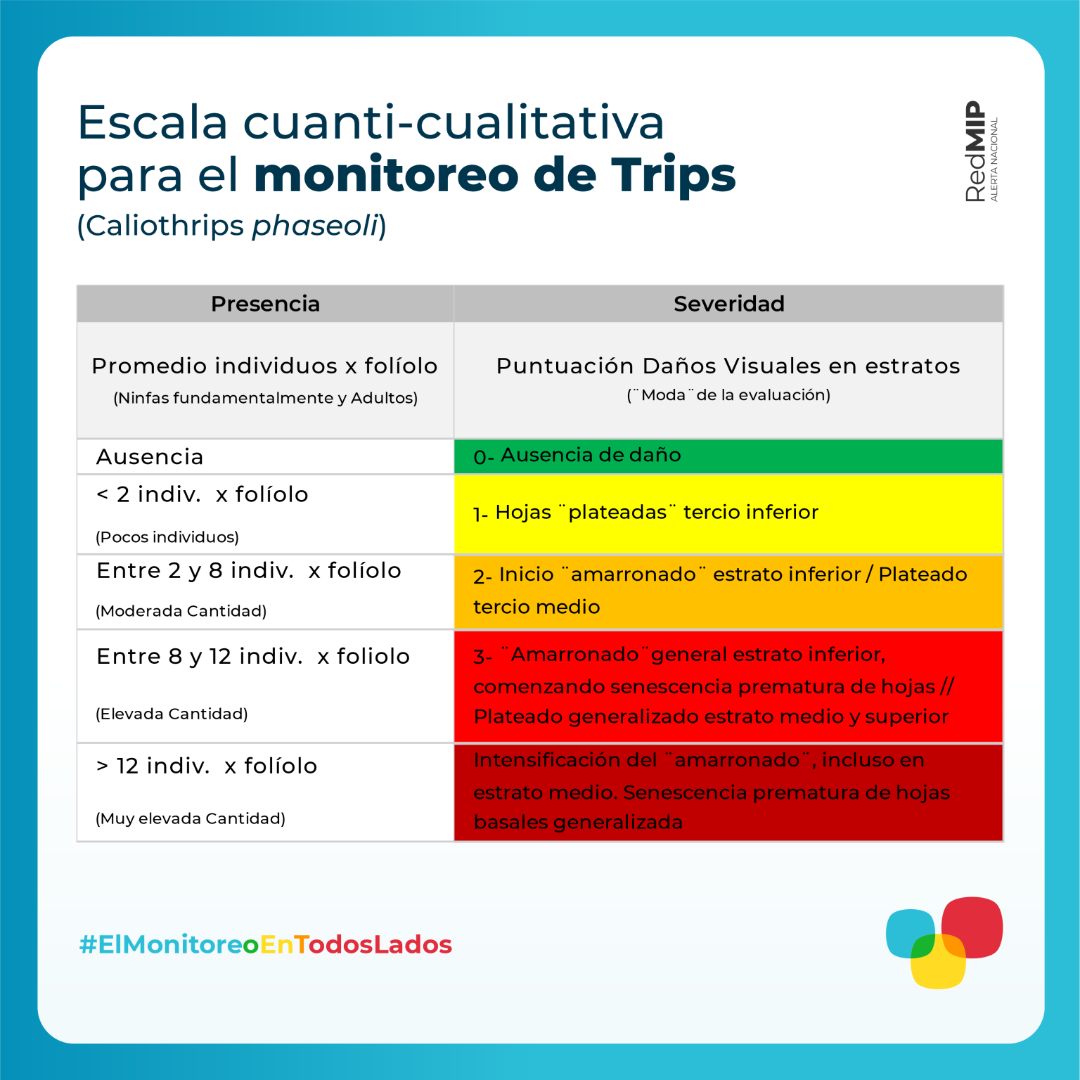 ¿Cómo monitorear y hacer un buen manejo de Trips en soja?